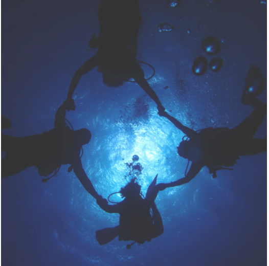 PADI Divemaster | Freedom Diving
