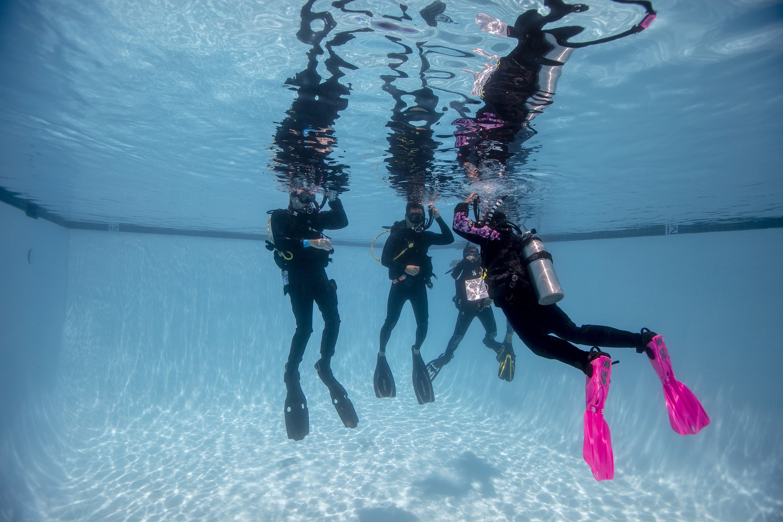 Try Dive | Freedom Diving